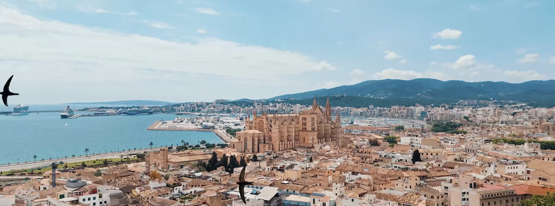 Your wedding, narrated with cinema cameras and drones. | Nicolás Basta